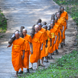 Monk Life Thailand
