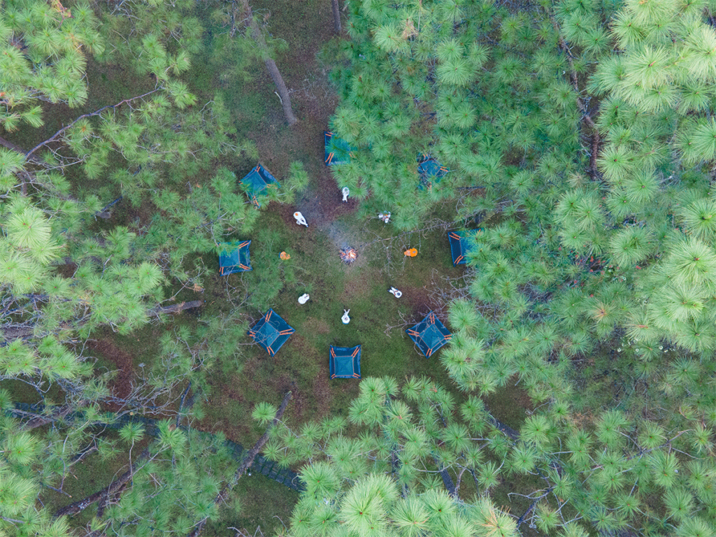 Images - MONK LIFE THAILAND