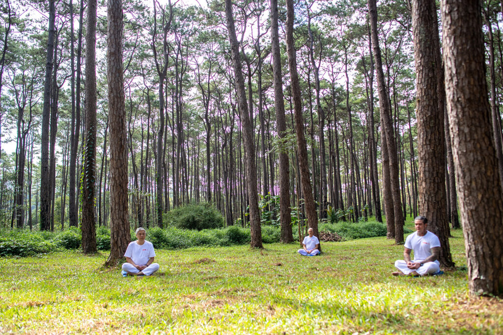 Images - MONK LIFE THAILAND