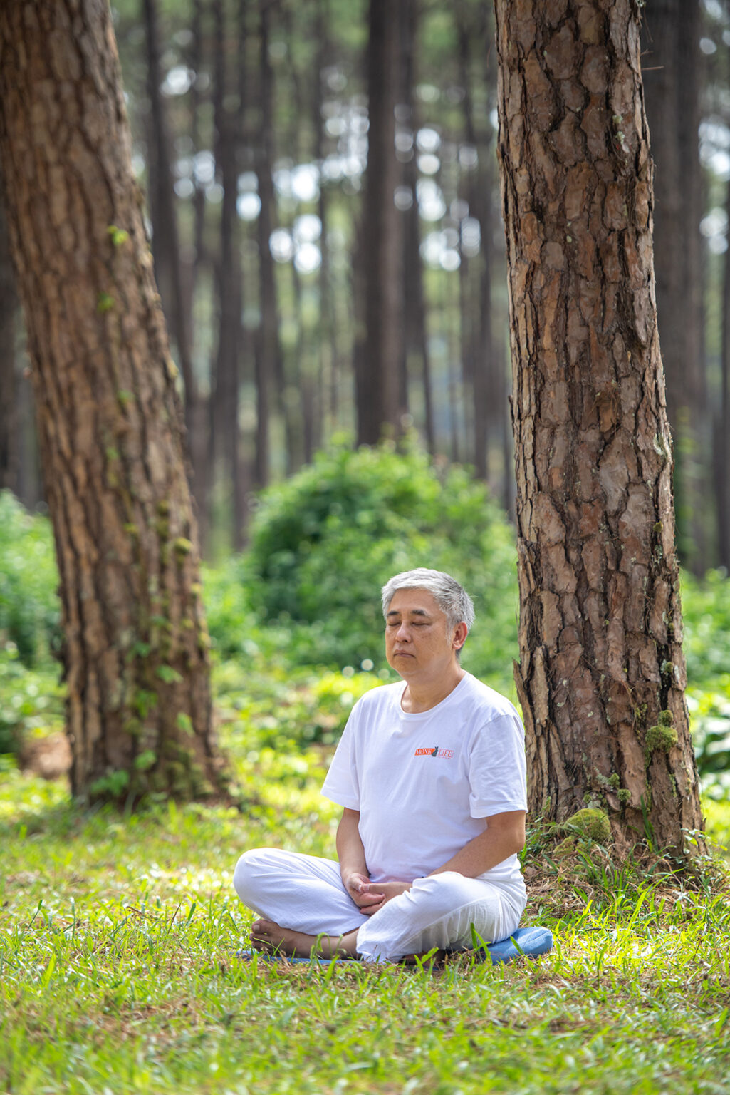 Images - MONK LIFE THAILAND